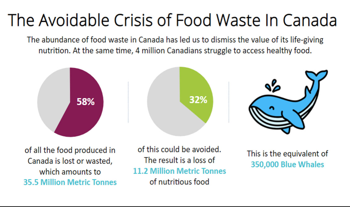 Learn More – The People’s Pantry Food Recovery Society | Coquitlam